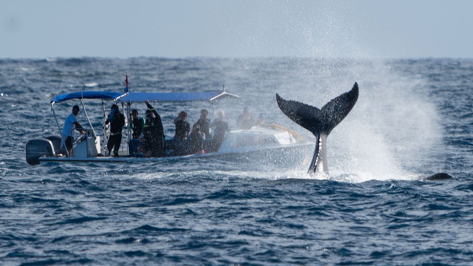 How a superyacht is supporting ocean conservation in the Dominican Republic