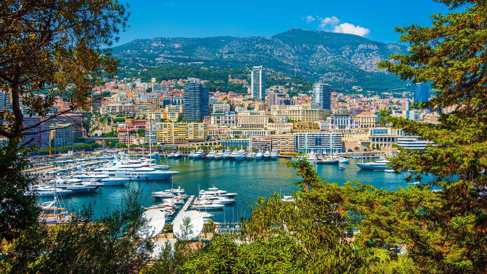 World Yachting Summit unveils key discussion topics for upcoming ...